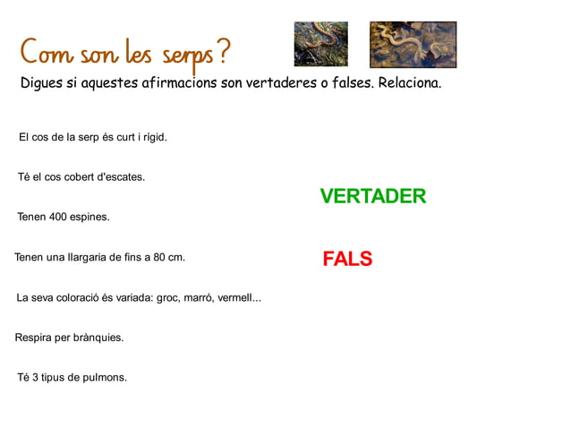 La serp d'aigua | PPT