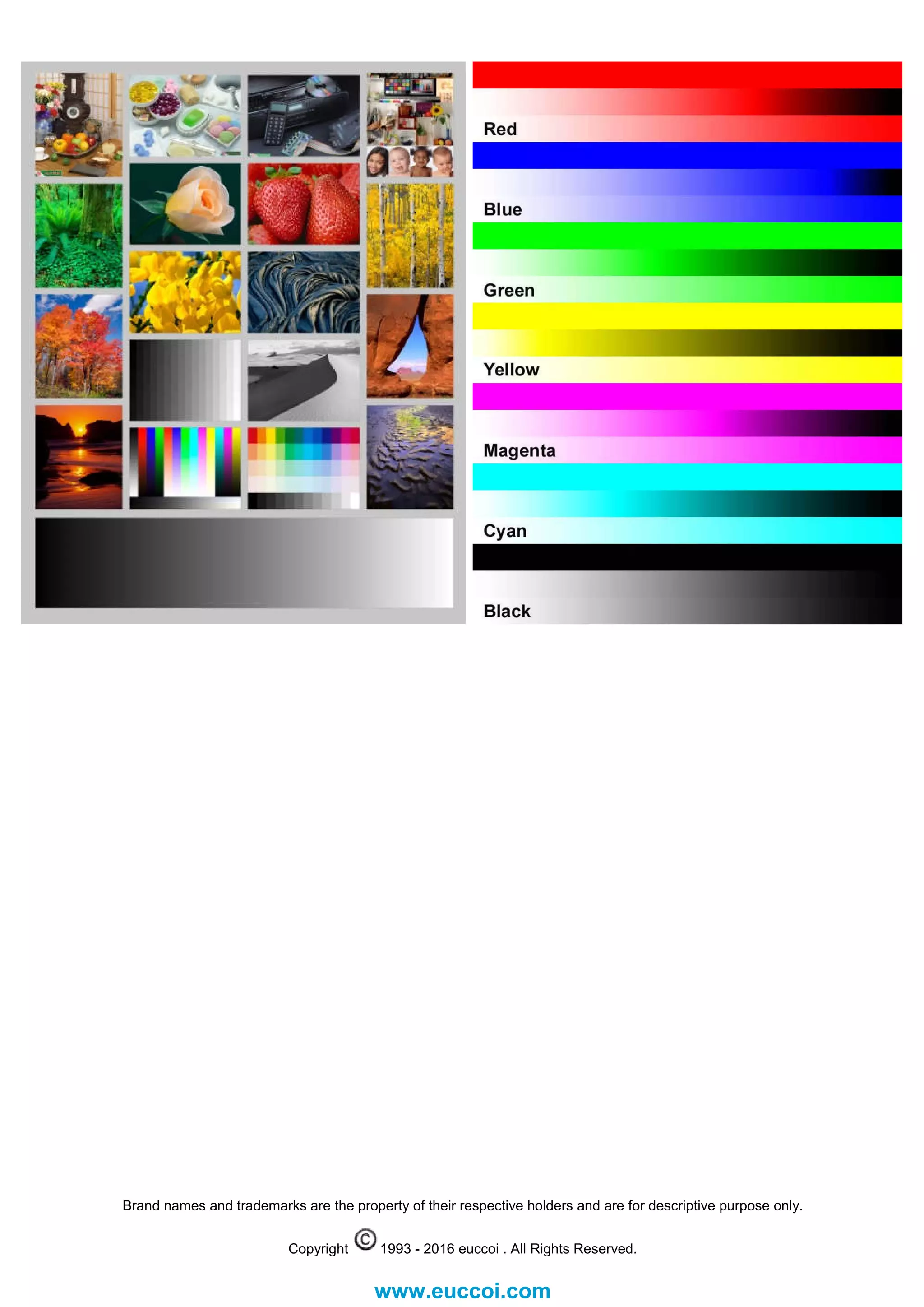 Laser toner cartridge test page | PDF