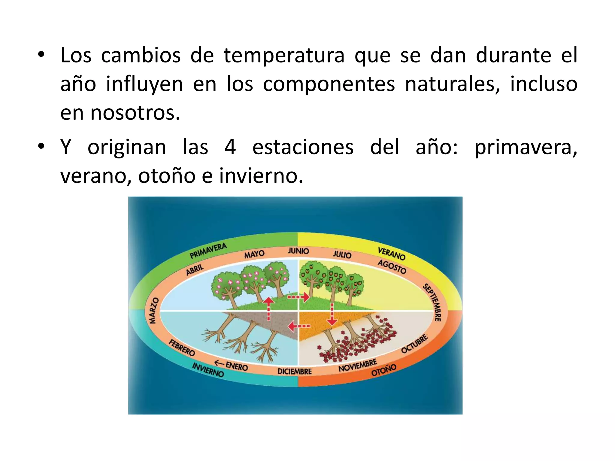 Las estaciones del año | PPT