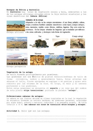 Las estepas | DOCX