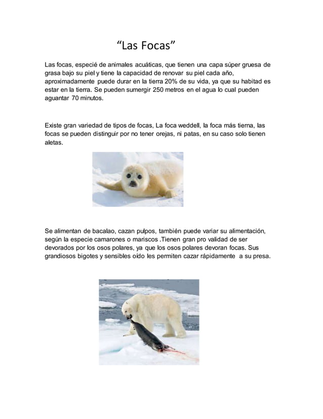 Las focas | PDF