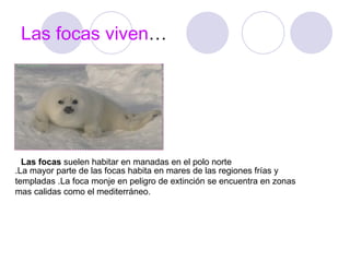 Las focas isabel f | PPT