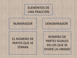 Las fracciones y sus términos | PPTX