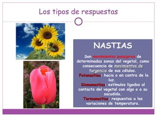 Funcion de relacion | PPS