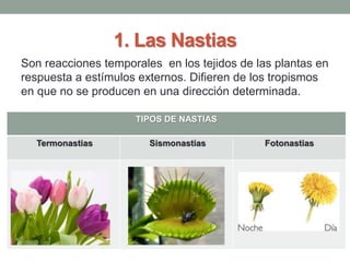 Las funciones vitales | PPTX