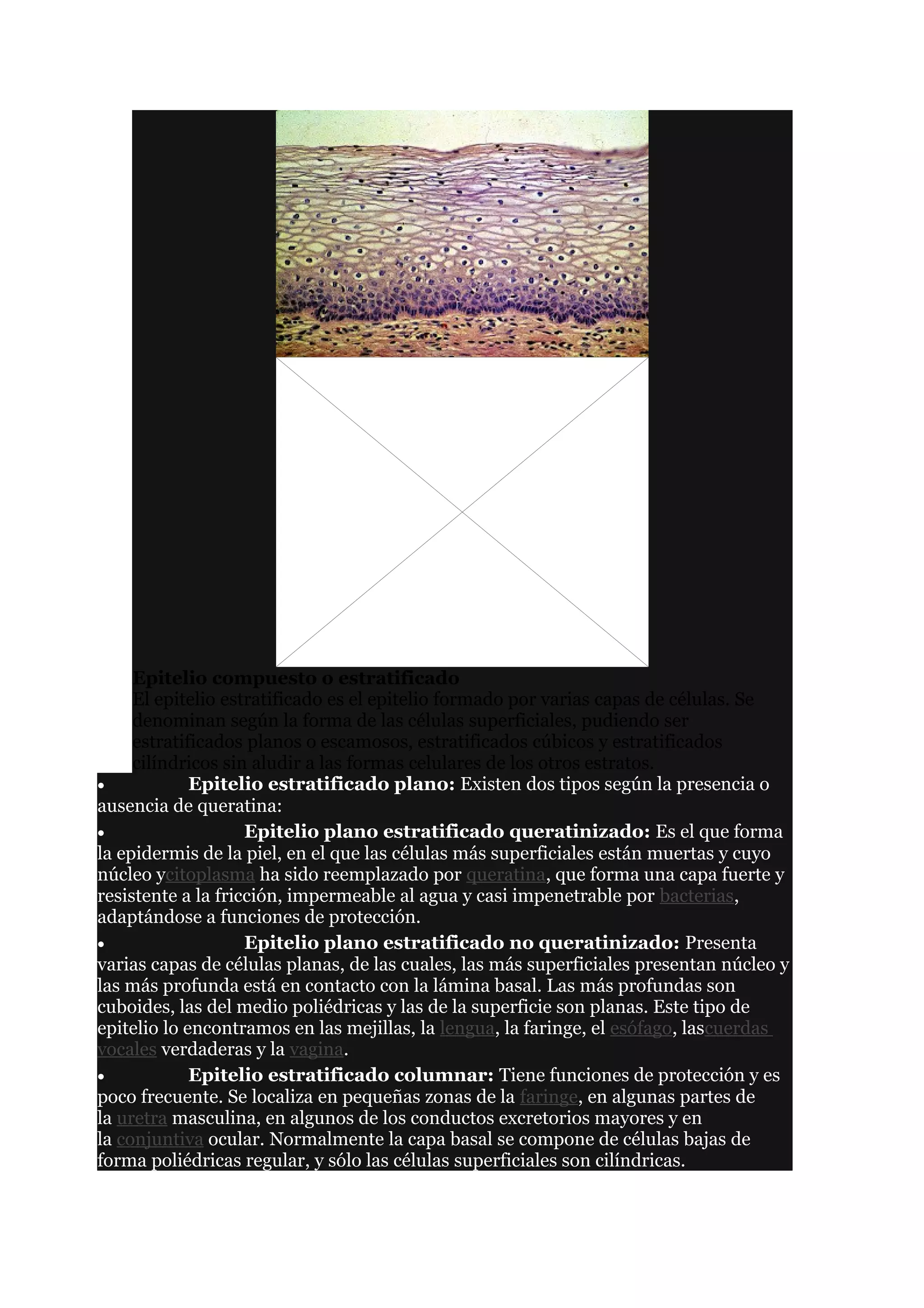Las Glandulas Exocrinas Y Endocrinas Pdf