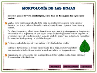Las Hojas | PPT