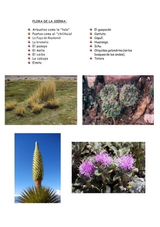 La sierra fauna, flora, costumbres | DOCX