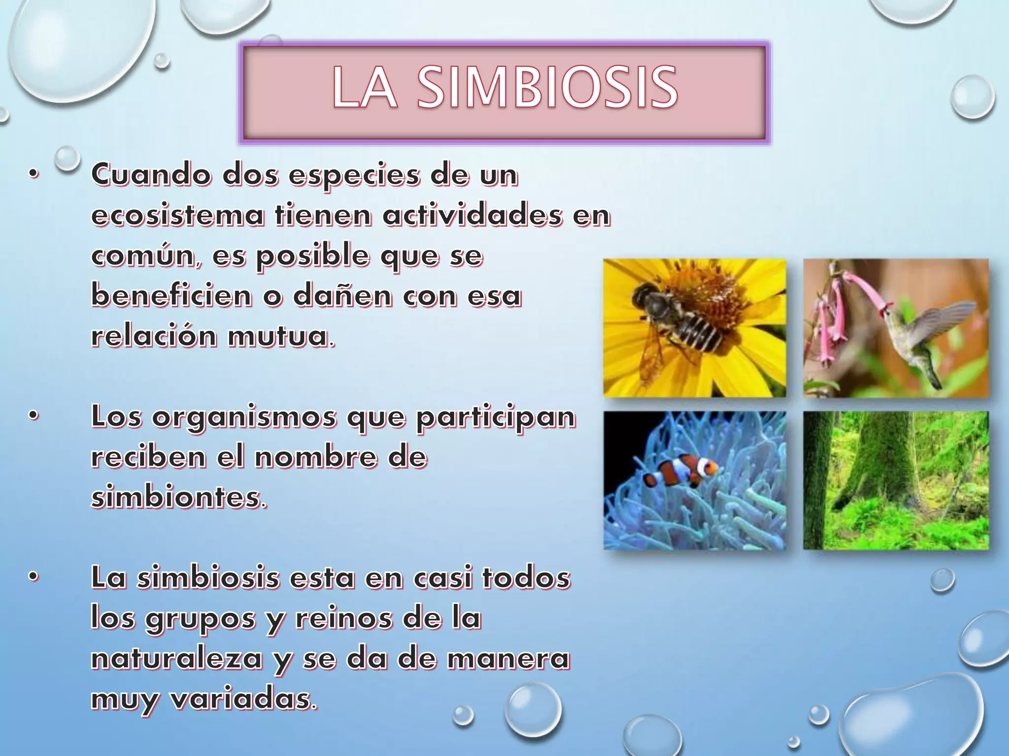 La simbiosis | PPTX