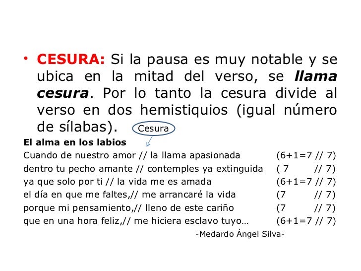 La simetría prosa literaria y versificación