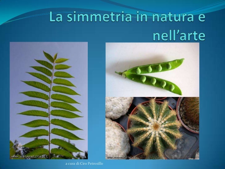 La simmetria in natura e arte