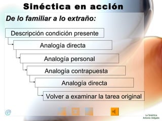 La Sinectica | PPS