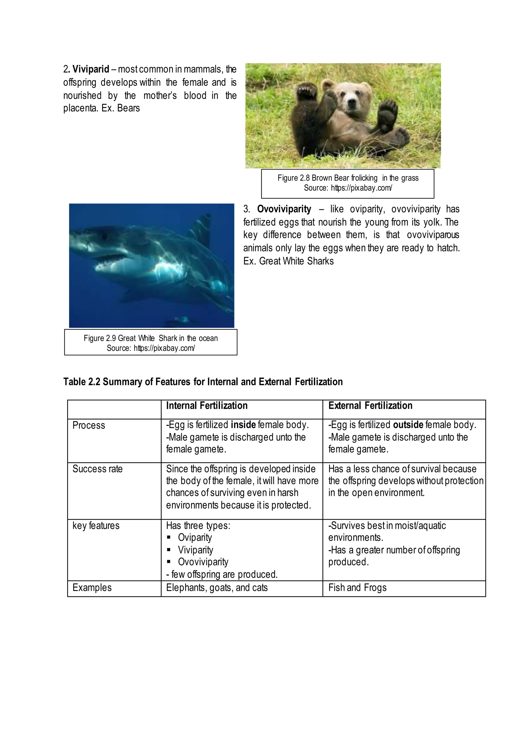 Las in earth and life science | DOCX