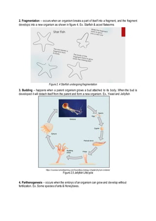 Las in earth and life science | DOCX