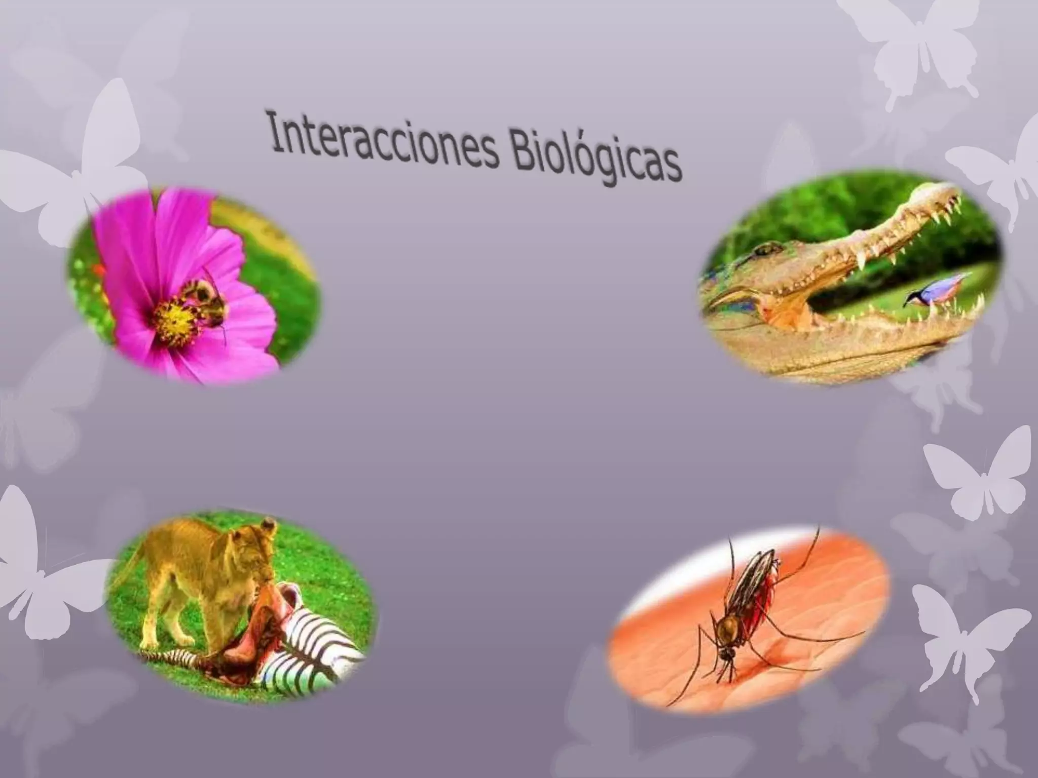 Las interacciones biologicas | PPT