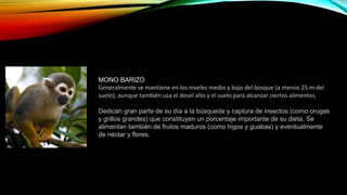 Las islas galapagos | PPTX