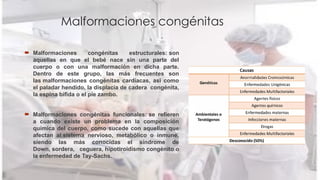Las malformaciones congénitas (2)-1 (2).pptx