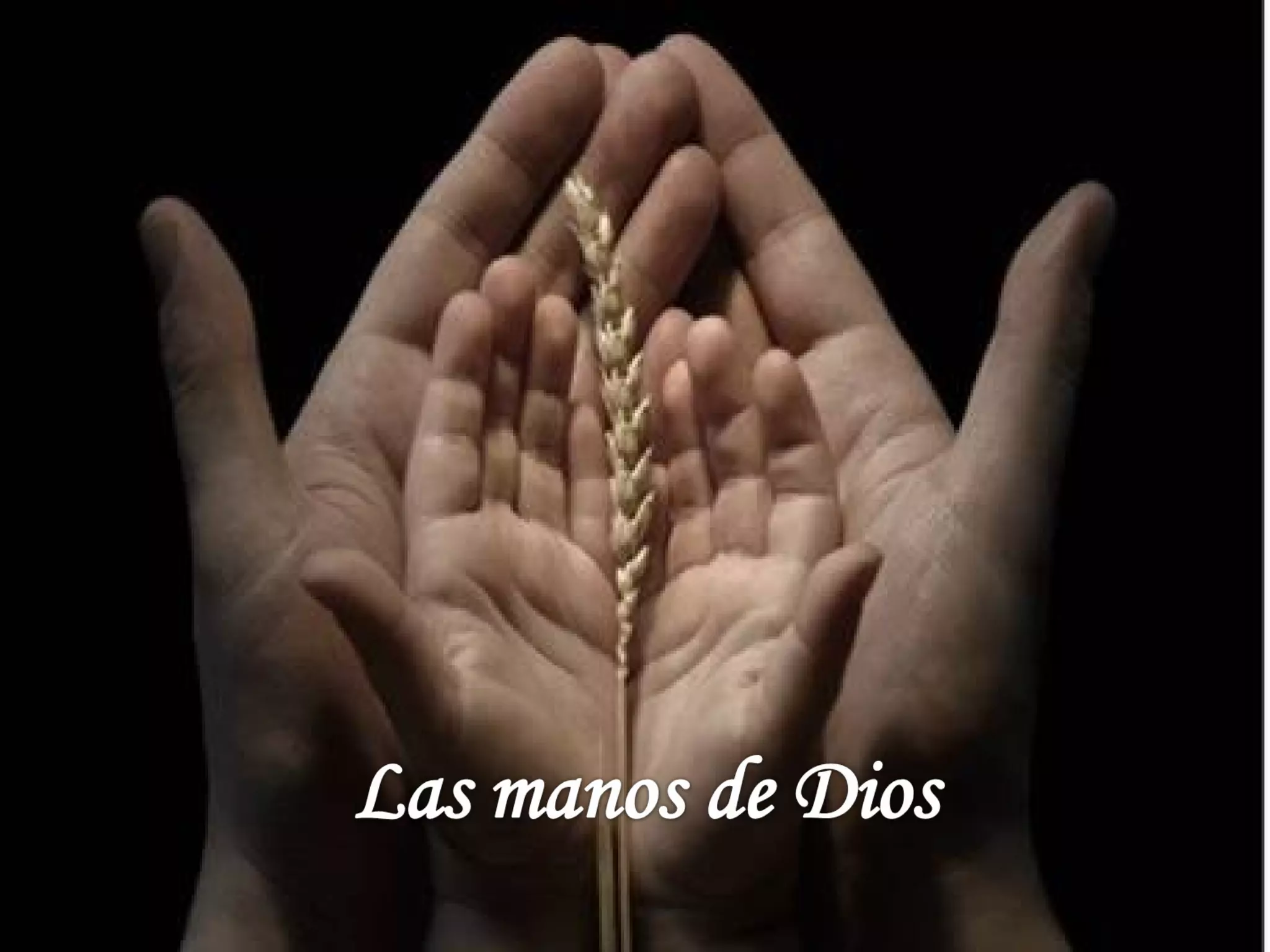 Las manos de Dios | PPS