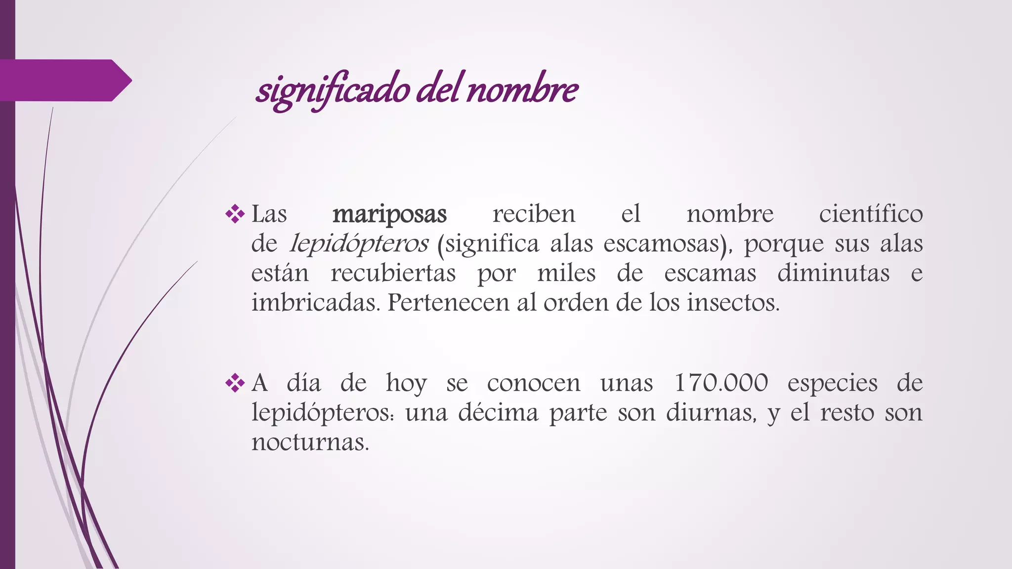 Las mariposas | PPTX | Biological Sciences | Science