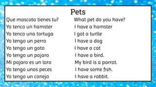 Las mascotas! Pets! and Colors Spanish | PDF