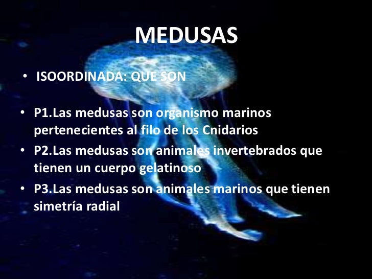 Partes Del Cuerpo De La Medusa