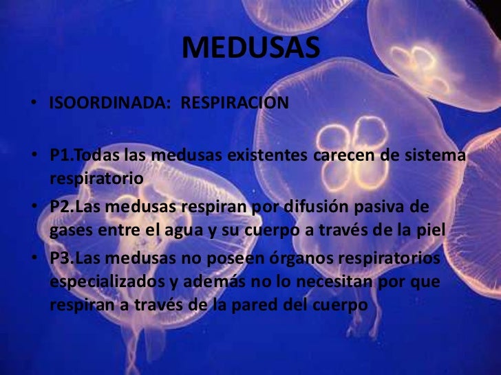 Partes Del Cuerpo De La Medusa
