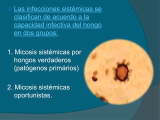 Las micosis sistémicas producidas por hongos verdaderos | PPTX
