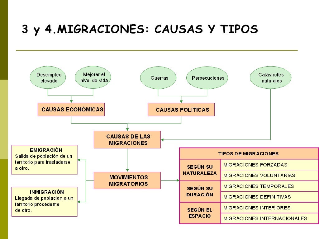 Causas De La Migracion