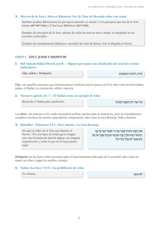 Las mitzvot =preceptos de la torah y por que son tan detalladas.. | PDF