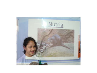 Las nutrias | PPTX