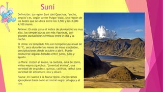 Las ocho regiones naturales 3 | PPTX