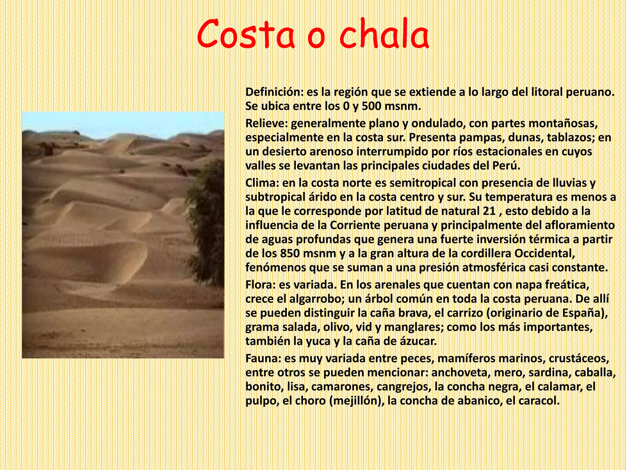 Las ocho regiones naturales del perú | PPTX | South America Travel ...