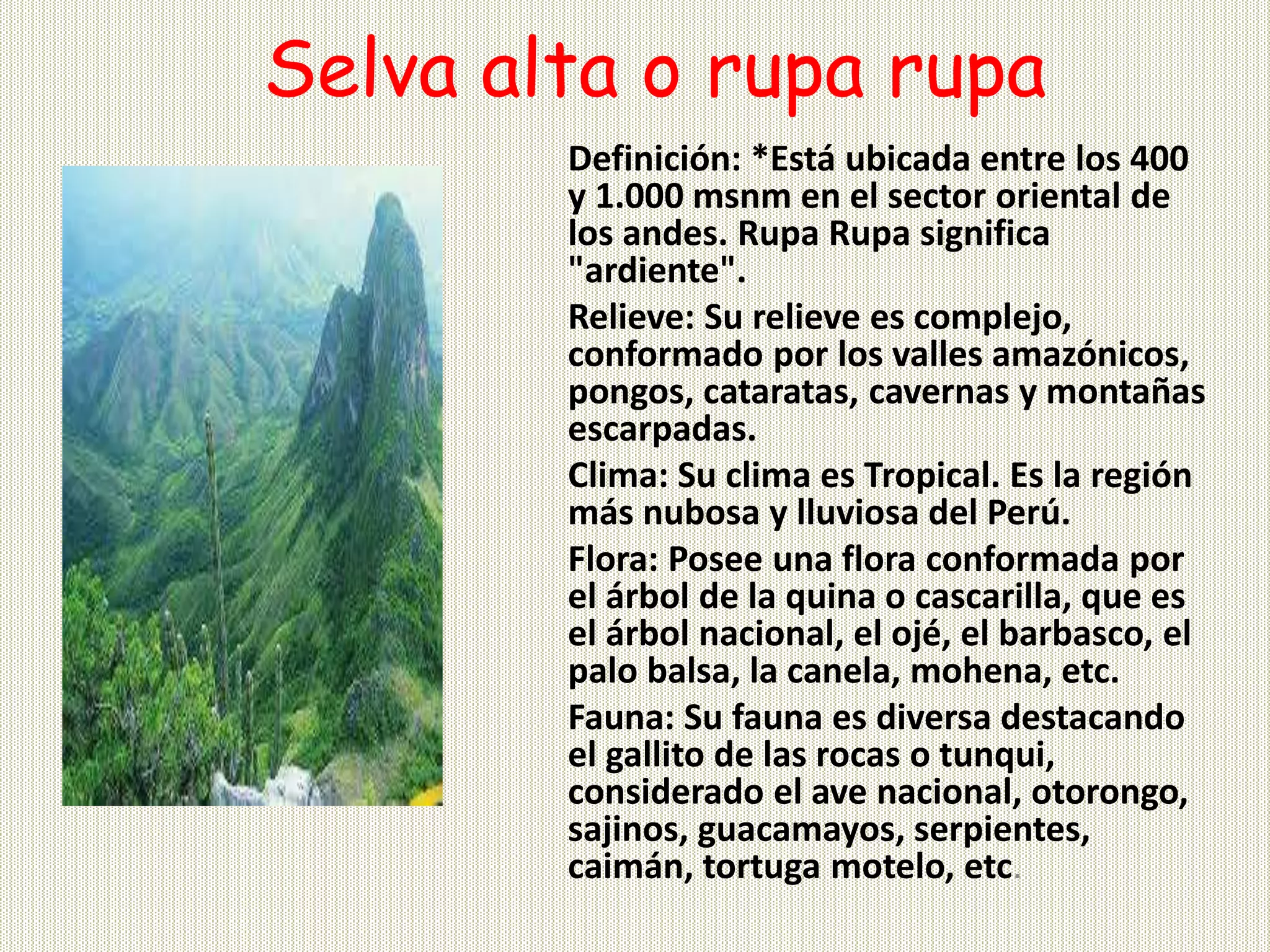 Las ocho regiones naturales del perú | PPTX | South America Travel ...