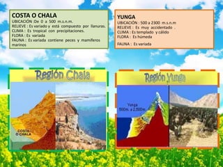 Las ocho regiones naturales del perú | PPTX