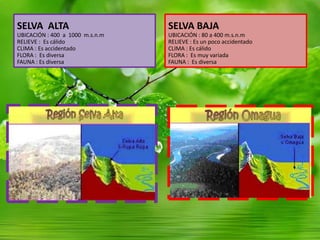 Las ocho regiones naturales del perú | PPTX