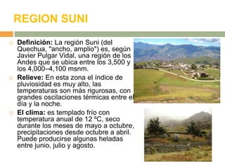 Las ocho regiones naturales del Perú | PPTX