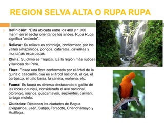 Las ocho regiones naturales del Perú | PPTX