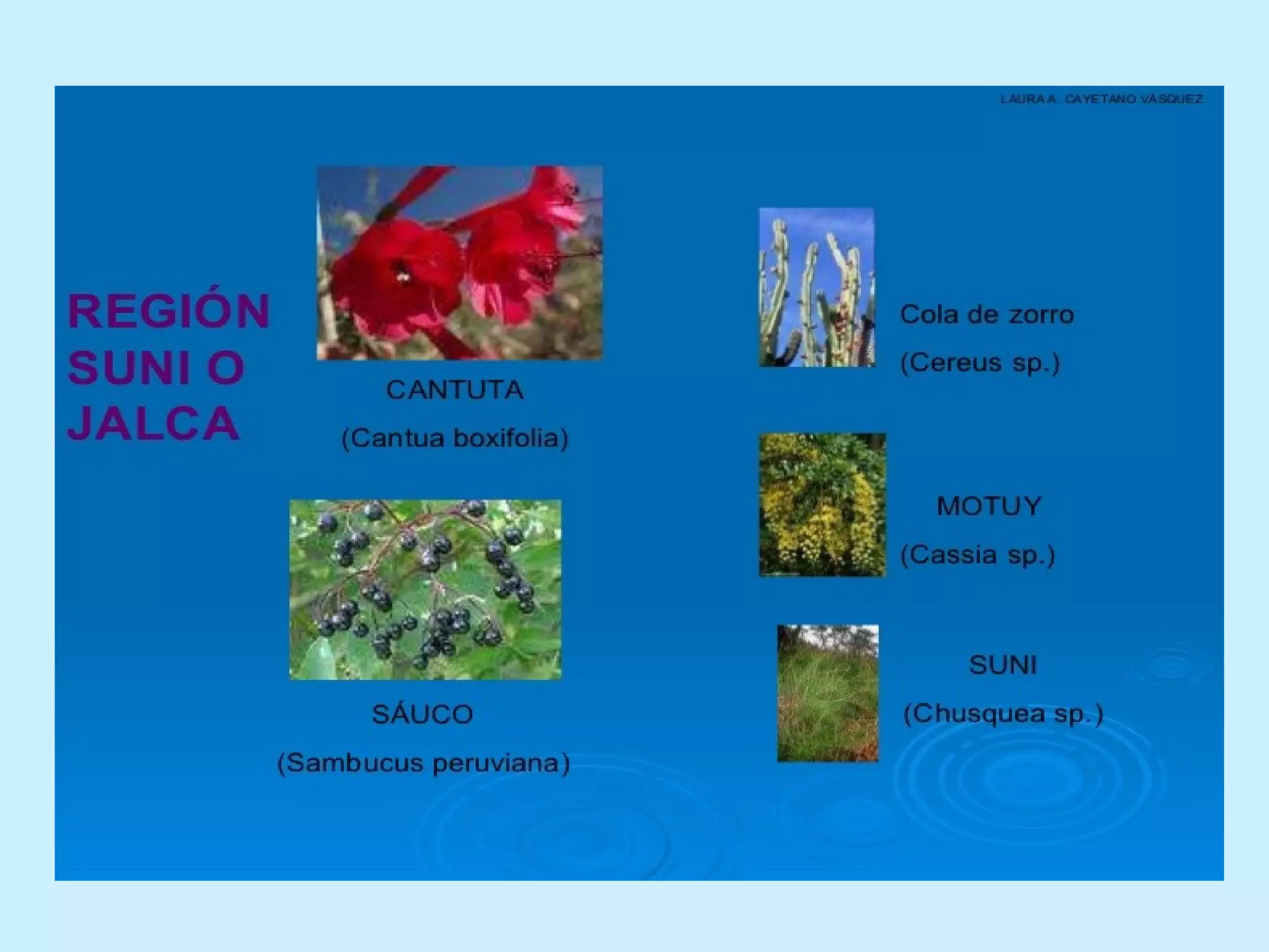 Las ocho regiones (parte 2) | PPT
