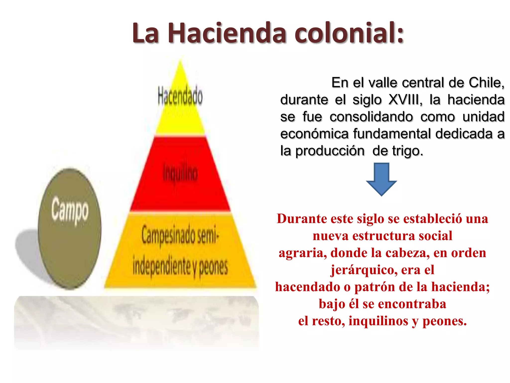 La Sociedad colonial | PPT