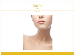 Las partes de la cara y el cuerpo | PPTX