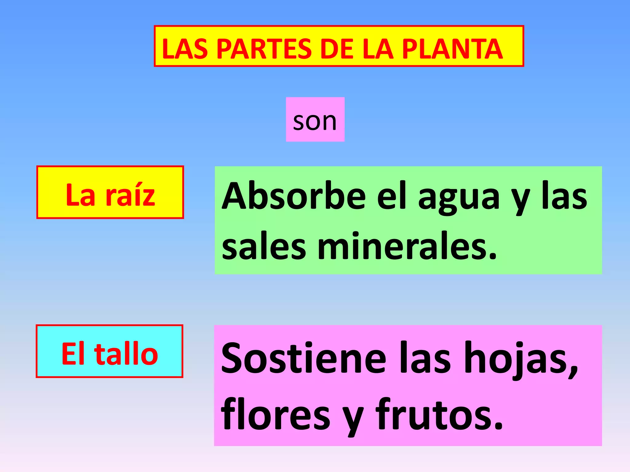 Las partes de la planta 1º | PPTX