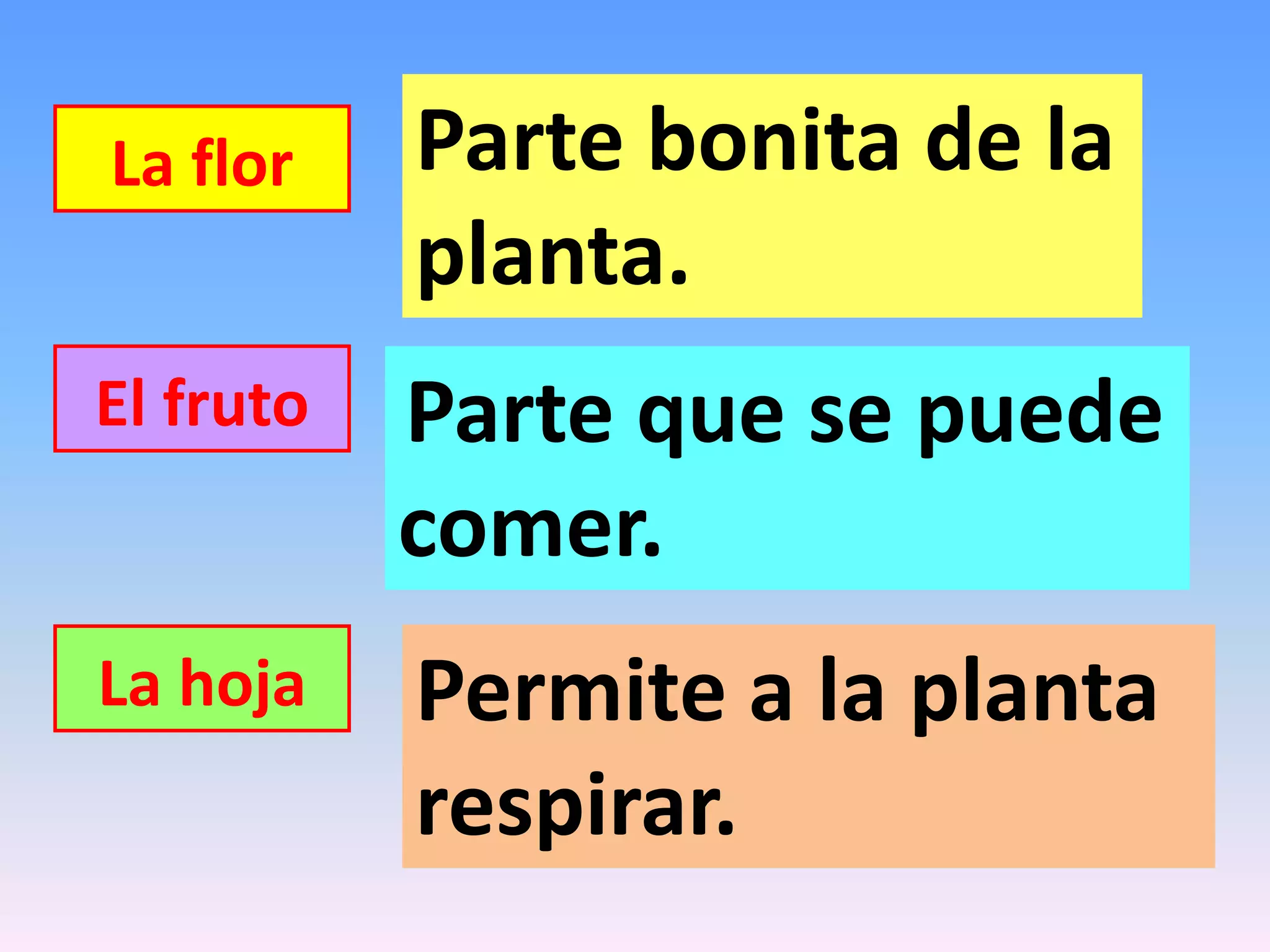 Las partes de la planta 1º | PPTX