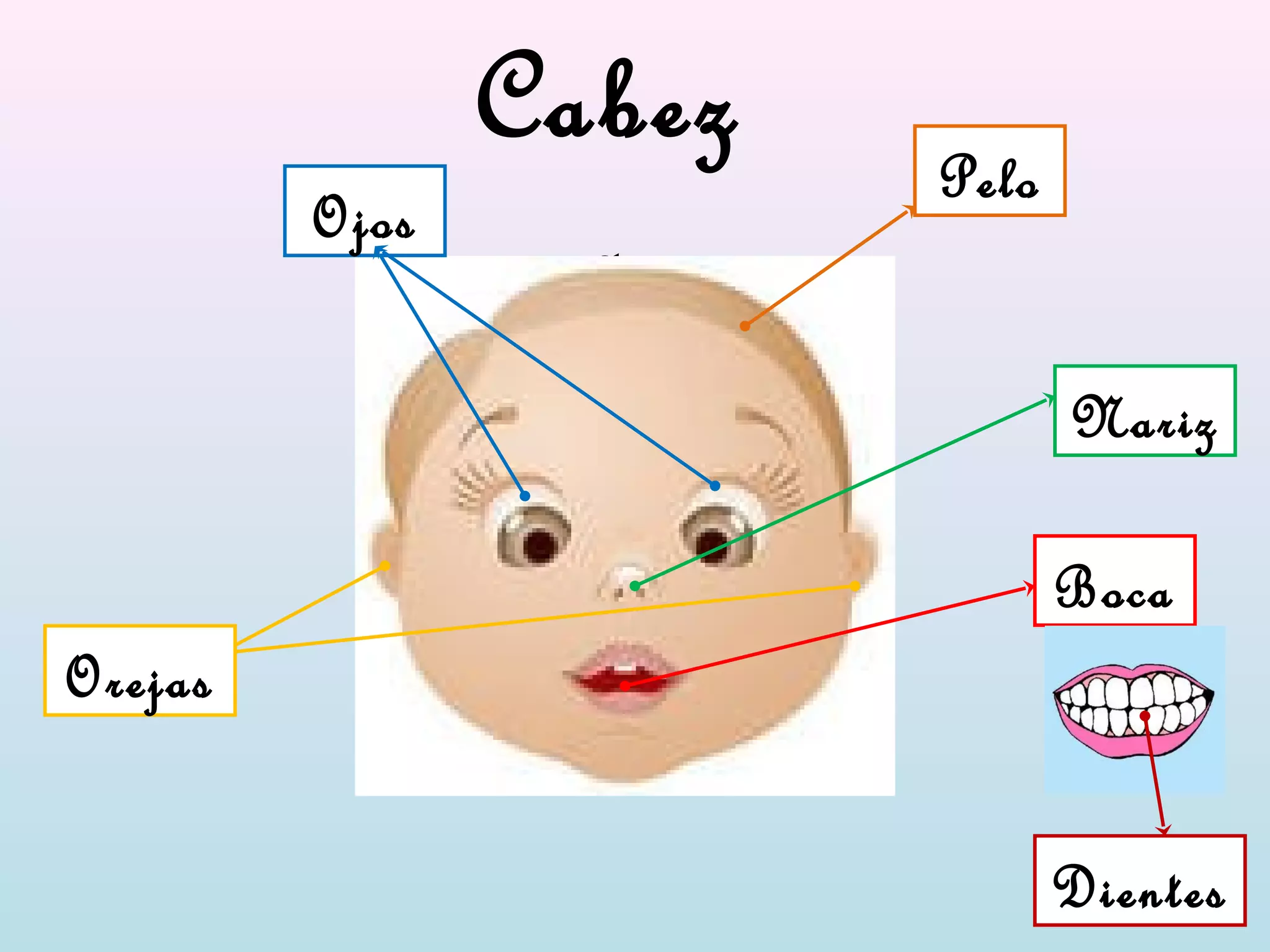 Las partes del cuerpo i la ropa | PPT