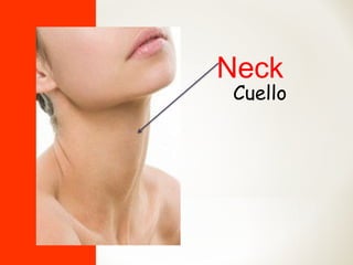 LAS PARTES DEL CUERPO | PPT