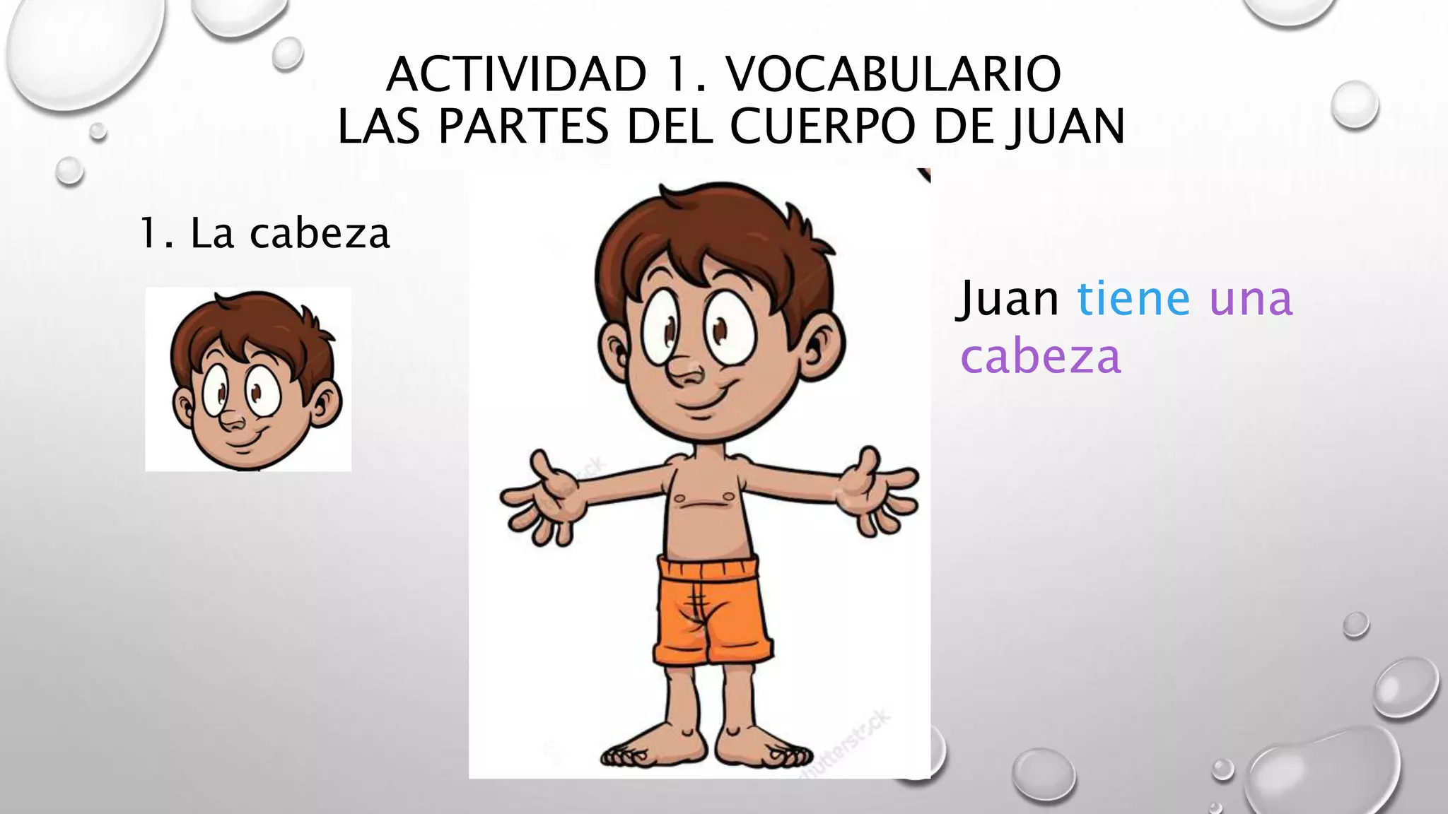 Las partes del cuerpo y expresiones | PPTX