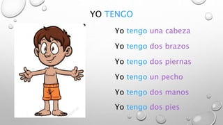 Las partes del cuerpo y expresiones | PPTX