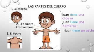 Las partes del cuerpo y expresiones | PPTX