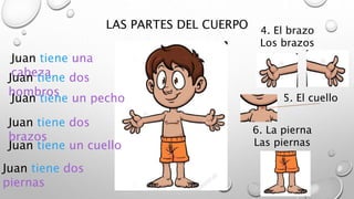 Las partes del cuerpo y expresiones | PPTX