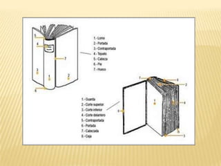 Las partes del libro | PPTX