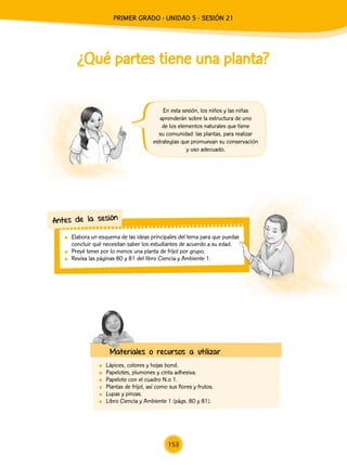 Las partes de una planta | PDF